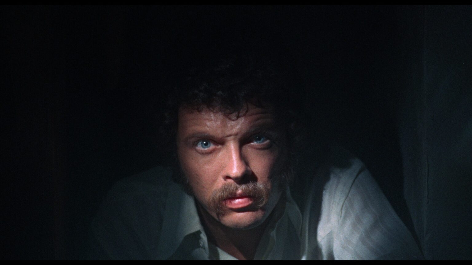 Grindhouse Releasing Presents IMPULSE, HOLLYWOOD 90028 and THE TOUGH ...